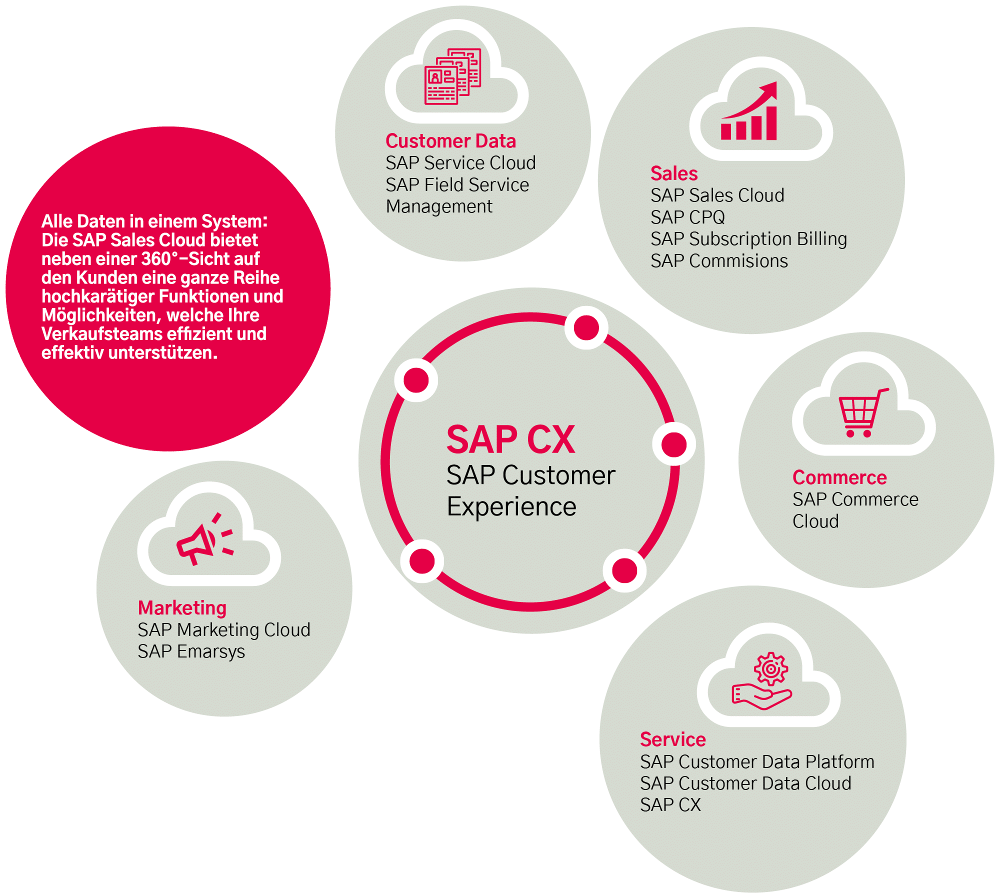 SAP CX Portfolio | ai informatics
